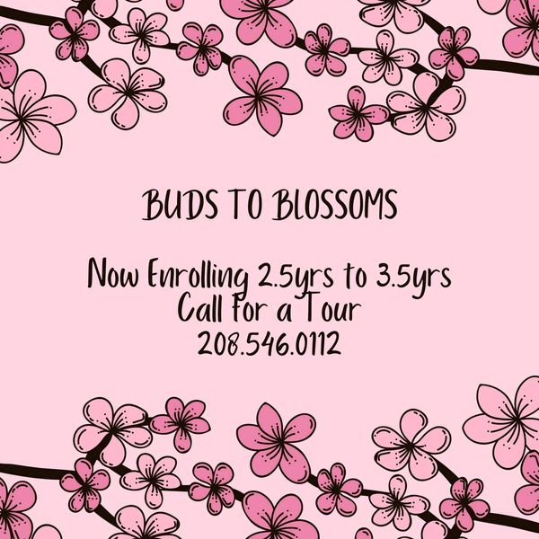 Buds to Blossoms Learning Center