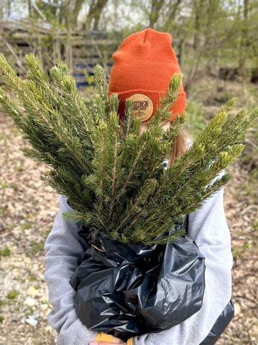 Wisconsin Bareroot Nursery