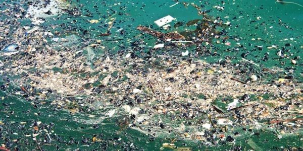 THE HORROR OF PLASTIC ISLANDS