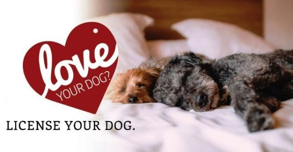 What Are The Pa Dog Laws