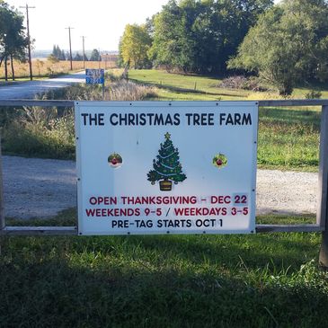 THE Christmas Tree Farm - Christmas Tree Farm - Des Moines, Iowa