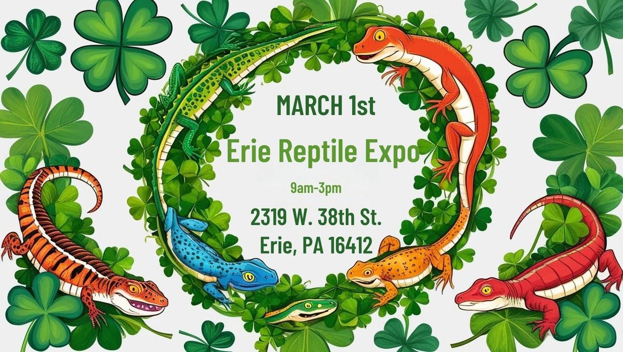 Exotic Reptile Show & Expo In Erie, PA | Pittsburgh Reptile Show & Sale