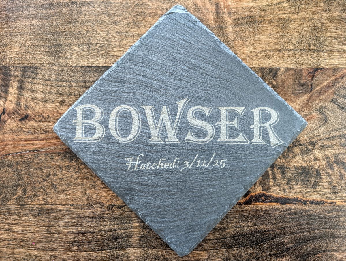 Custom Name Engraved Feeding/Basking Stone