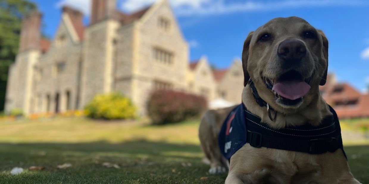 Flint House | Blue Paw Ltd
