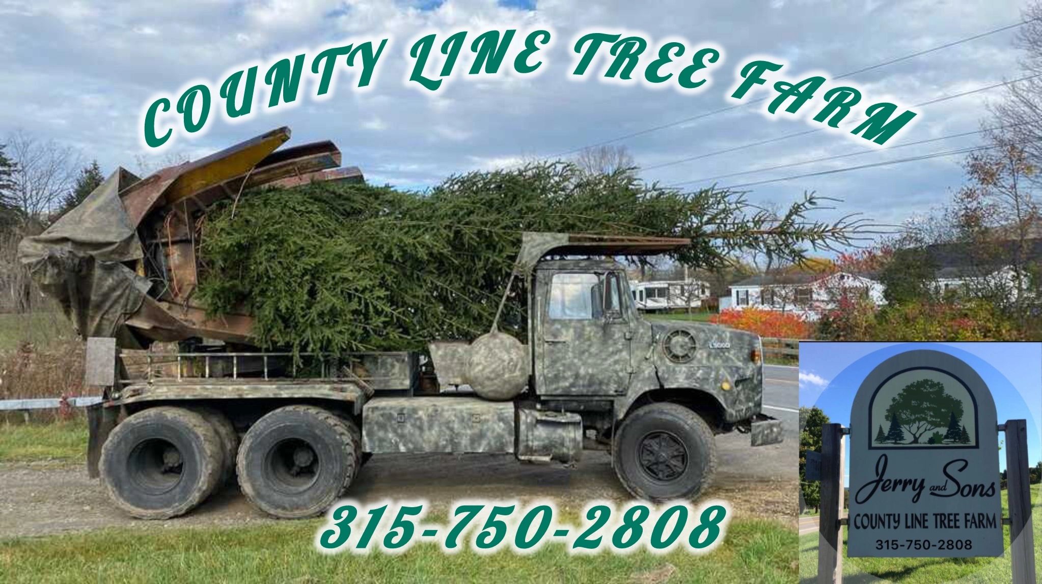 County Line Tree Farms: Your Trusted Tree Experts