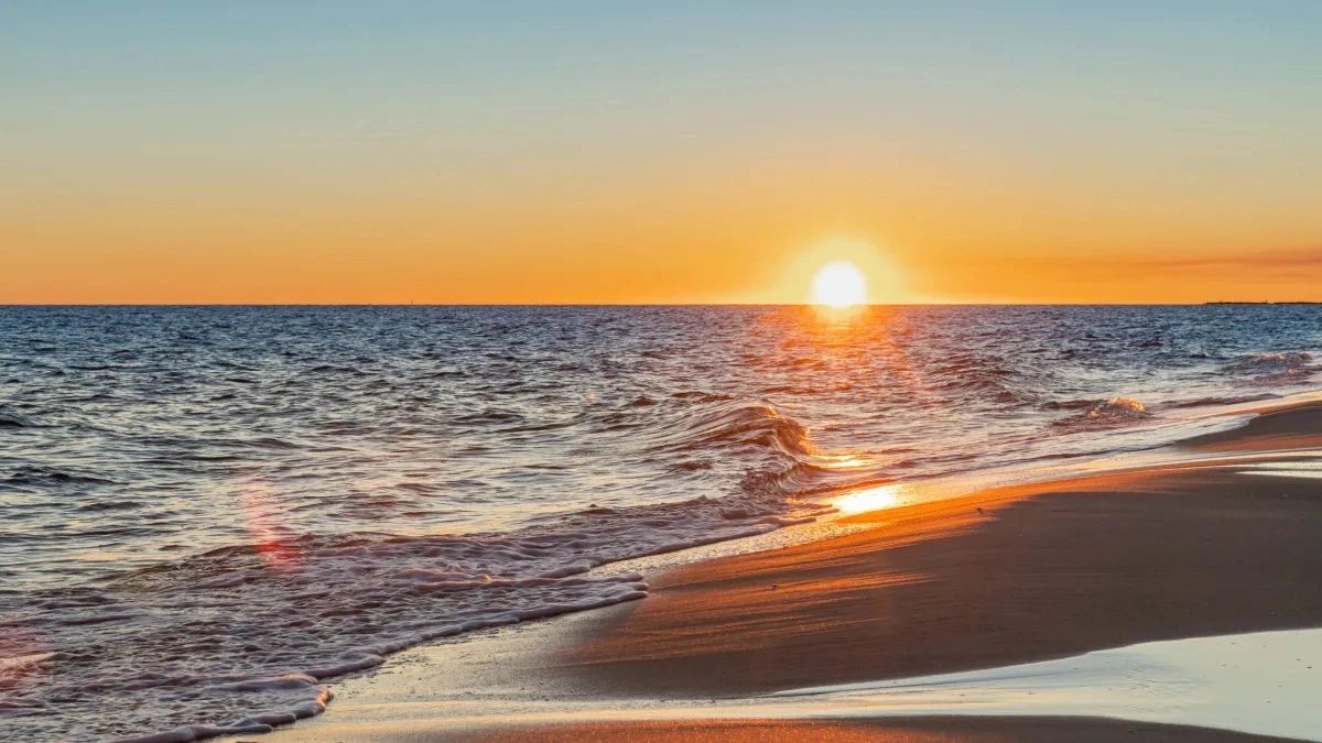 Gallery | Bama Beach Pickleball Club