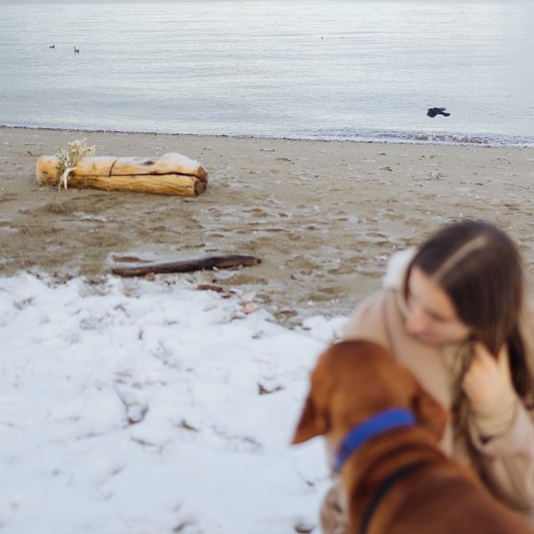 Sessions | Julia Webster