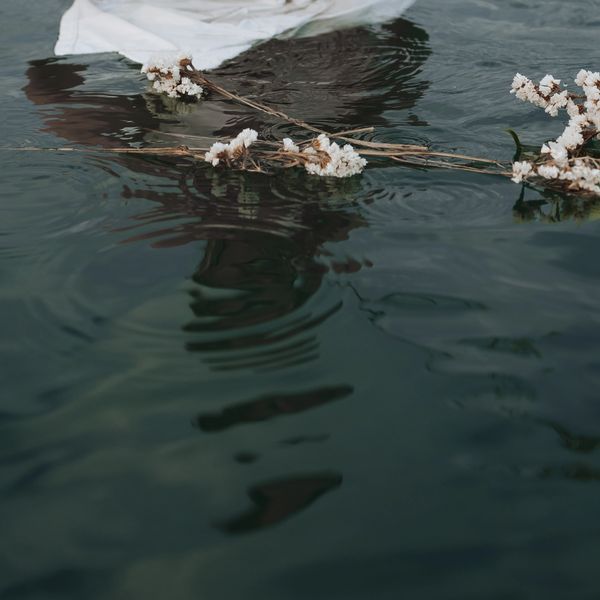 Sessions | Julia Webster