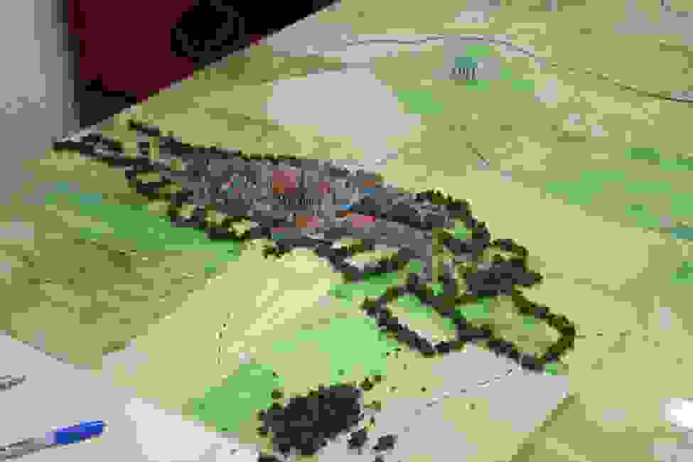 HCreate 3D Maps for Games | Forward March Studios