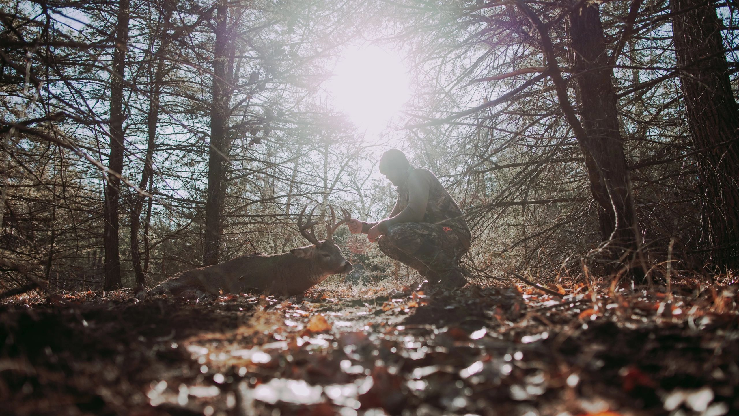 Ontheline - On the Line Podcast, Levi Morgan and Andy Morgan
