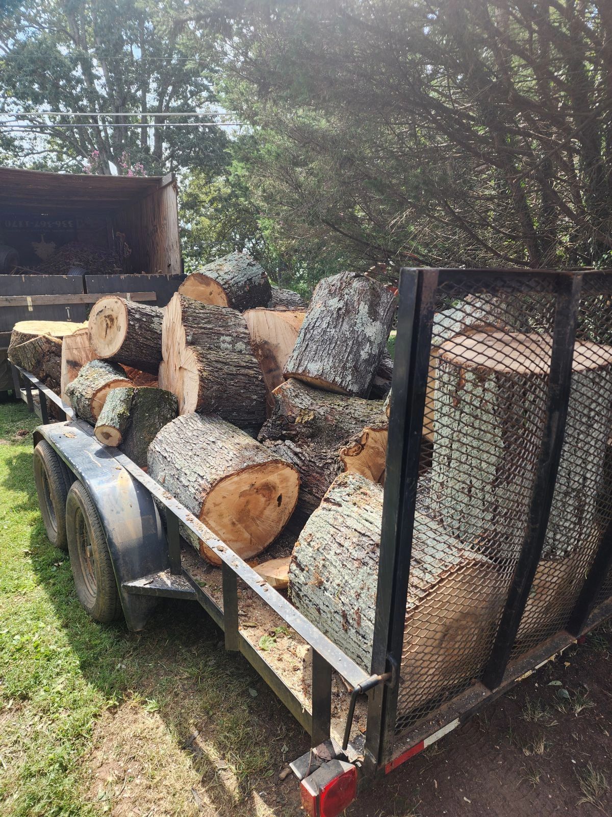 East Coast Tree Experts LLC