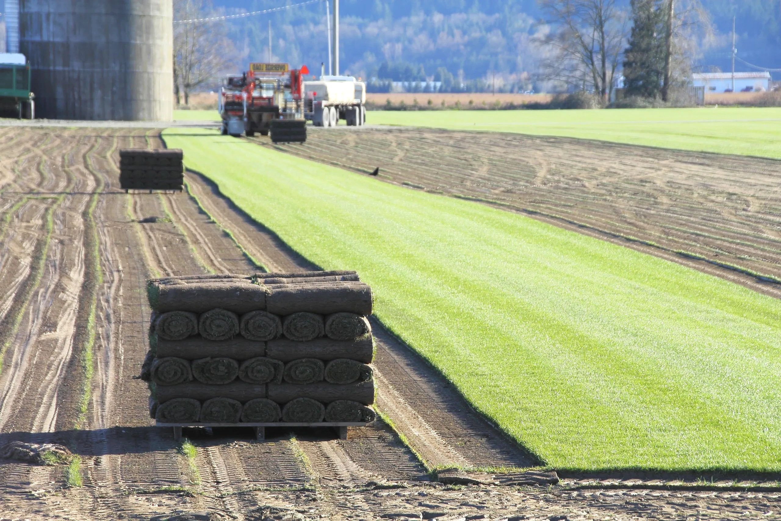 Turf Producers of Maryland