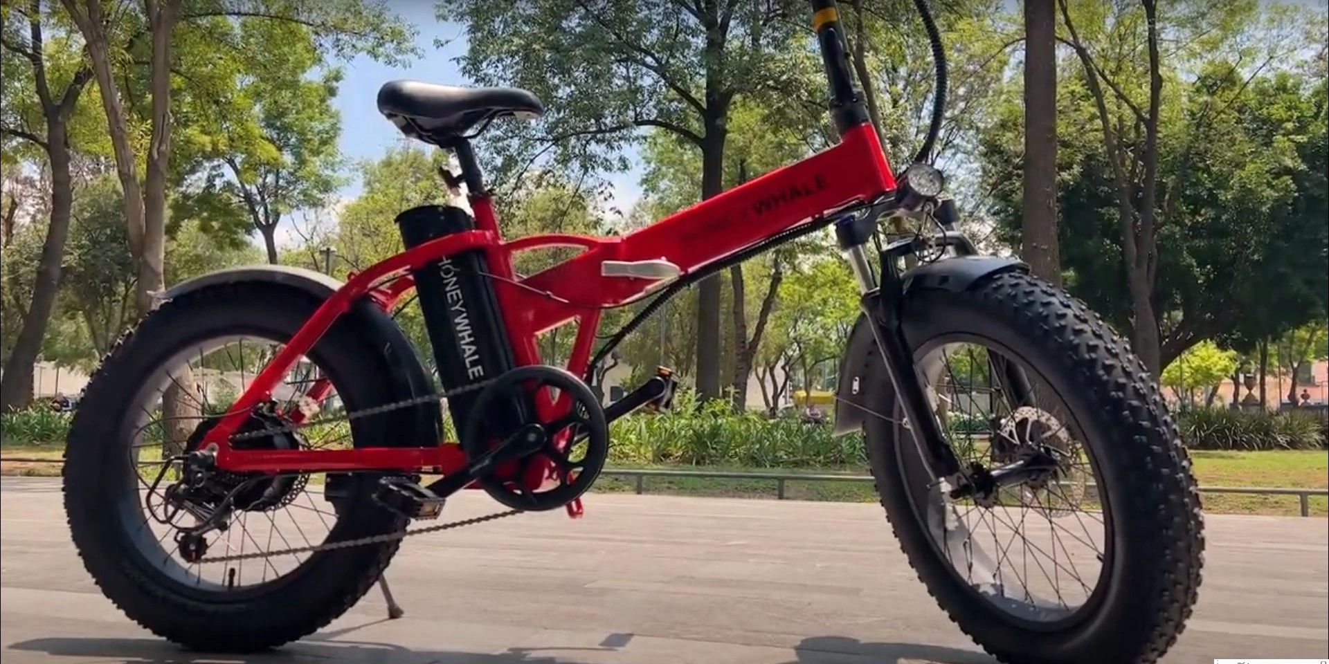 Bicicleta Eléctrica, Scooter, Patín Eléctrico - HONEY WHALE