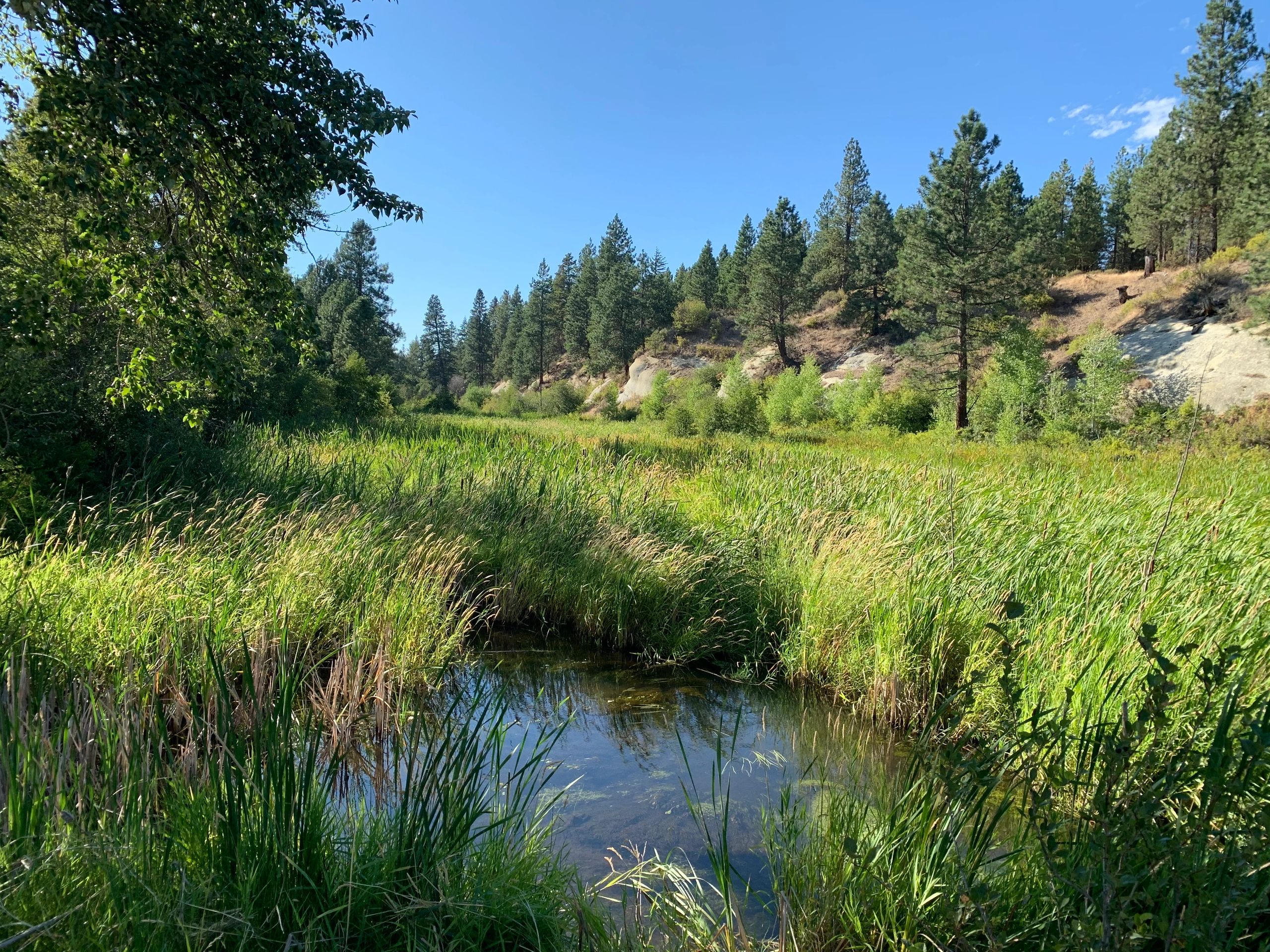 SwiftwaterPark.com