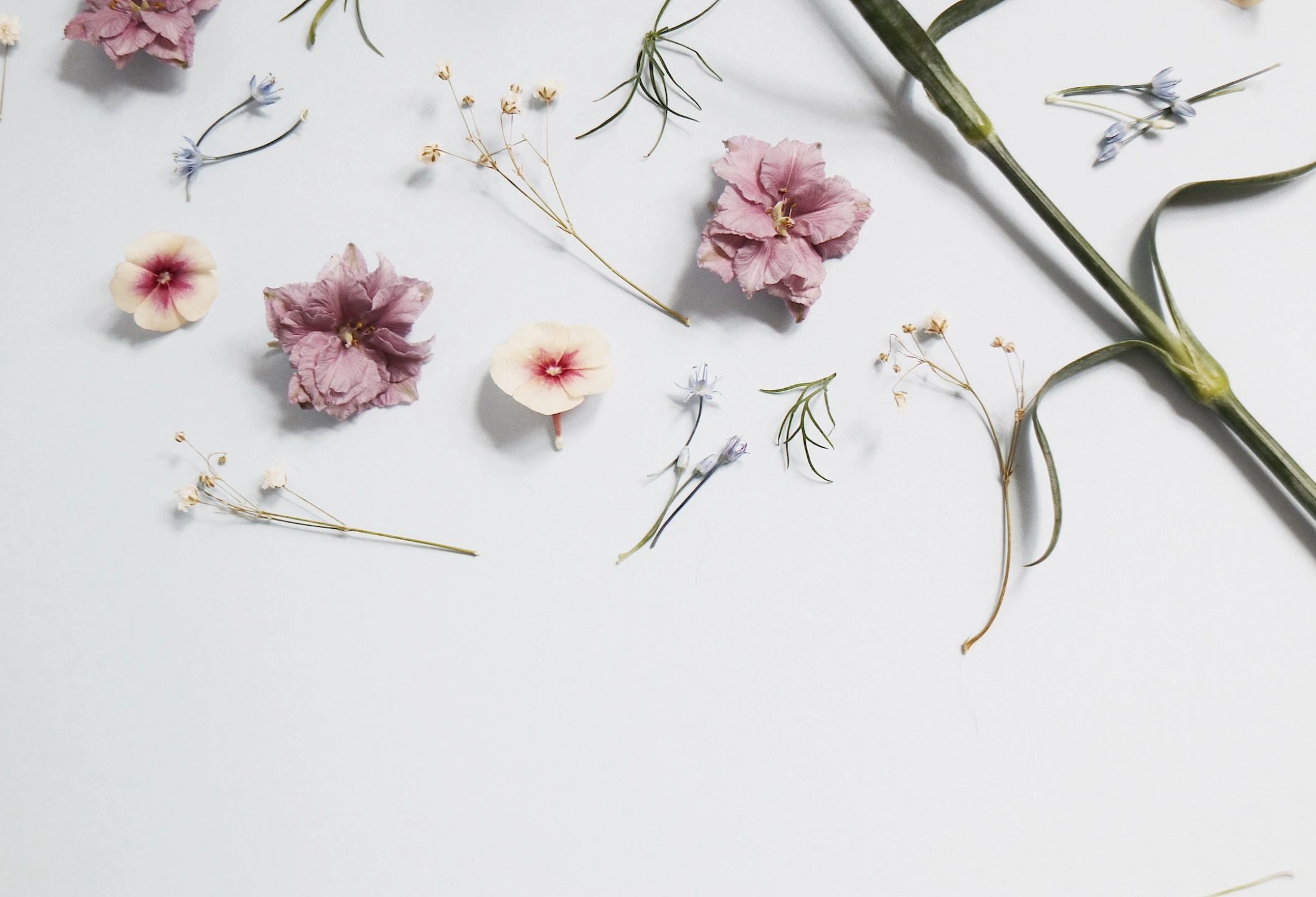 Serenity Support Services