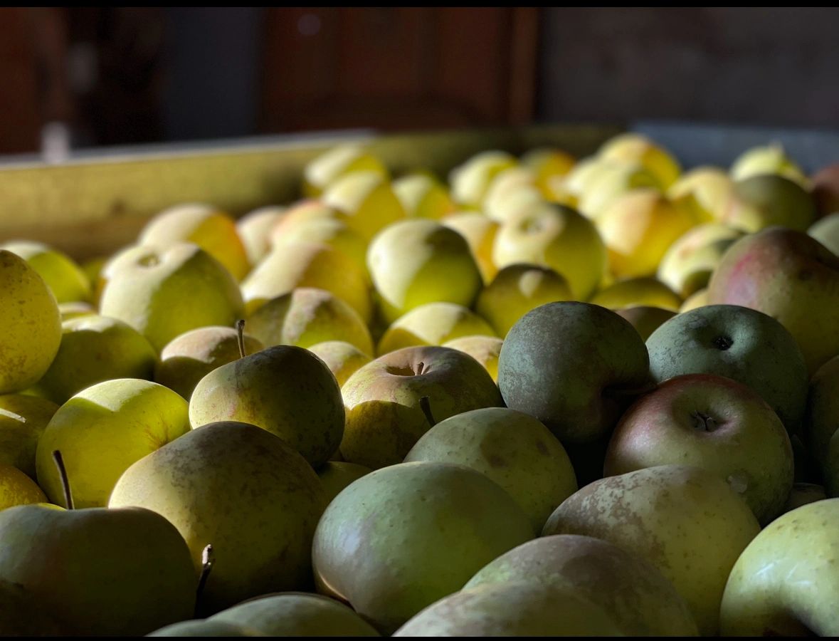 Carver Orchard Apple House Restaurant