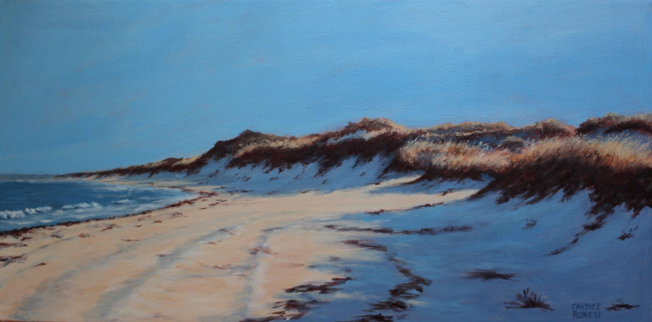 candiceronesi.com - Cape Cod Art, Provincetown Paintings, Cape Cod