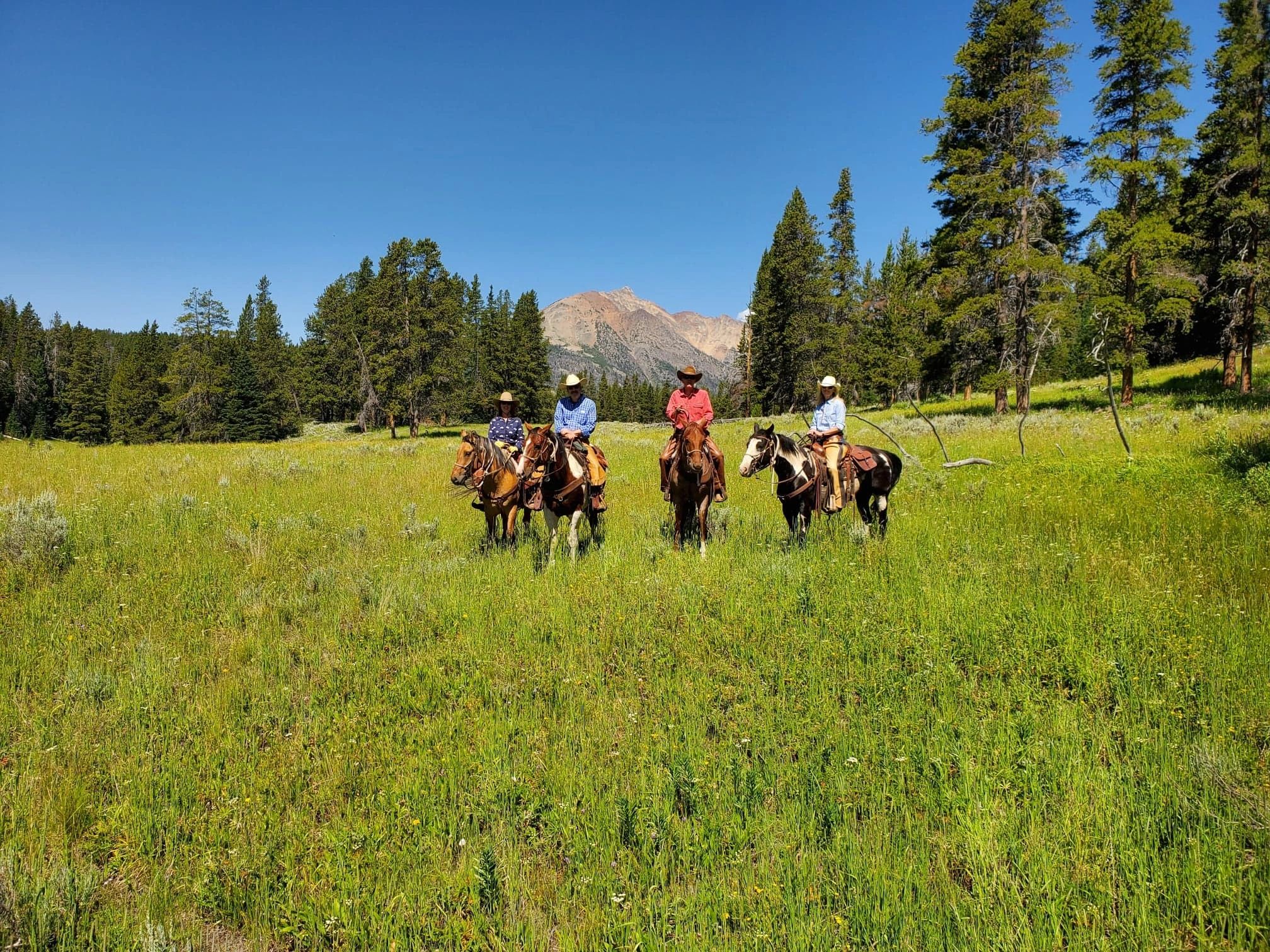 Horseback Riding Day Trips in Yellowstone National Park