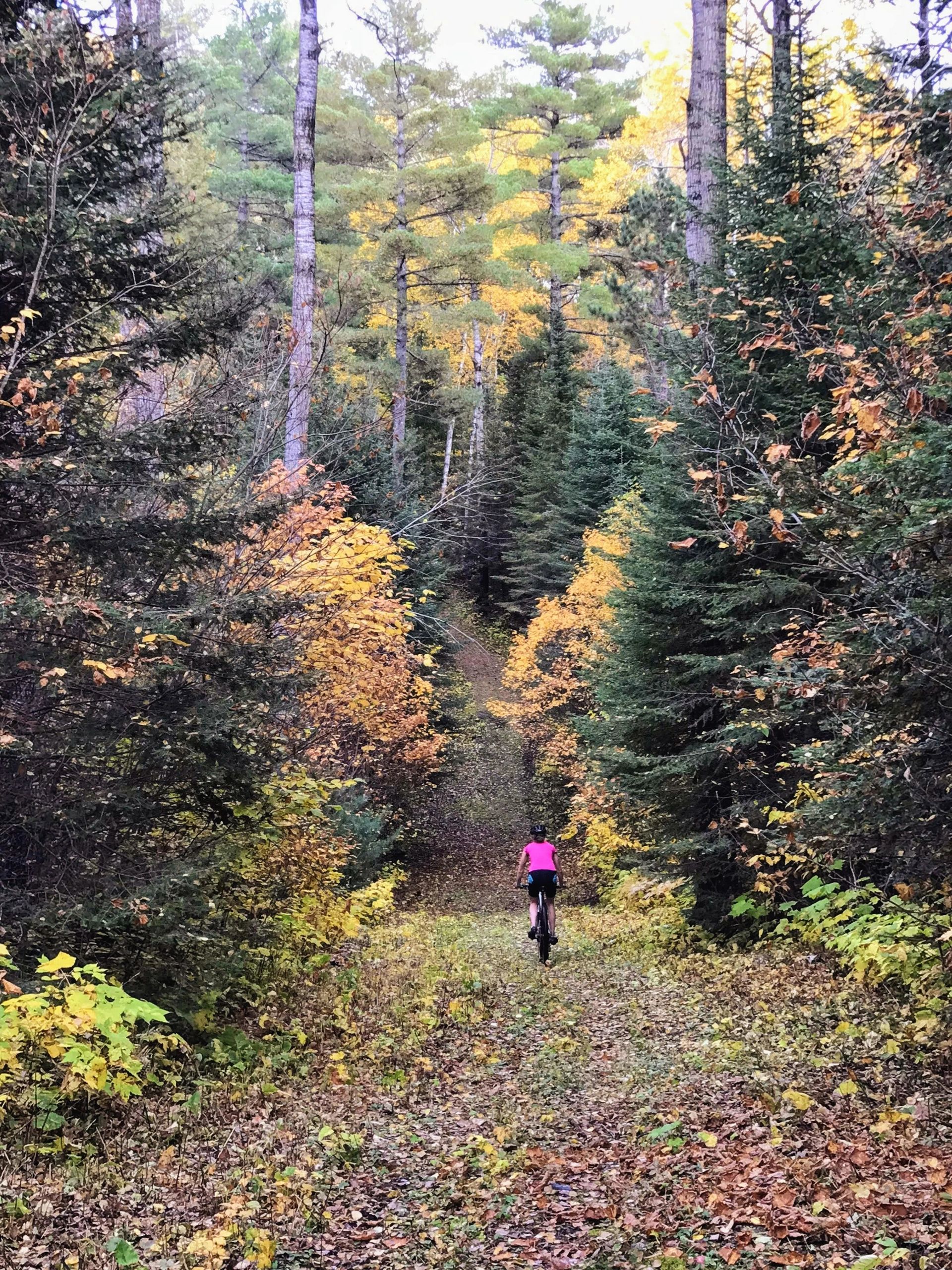 THE GUNFLINT SCRAMBLE! - Mountain Bike