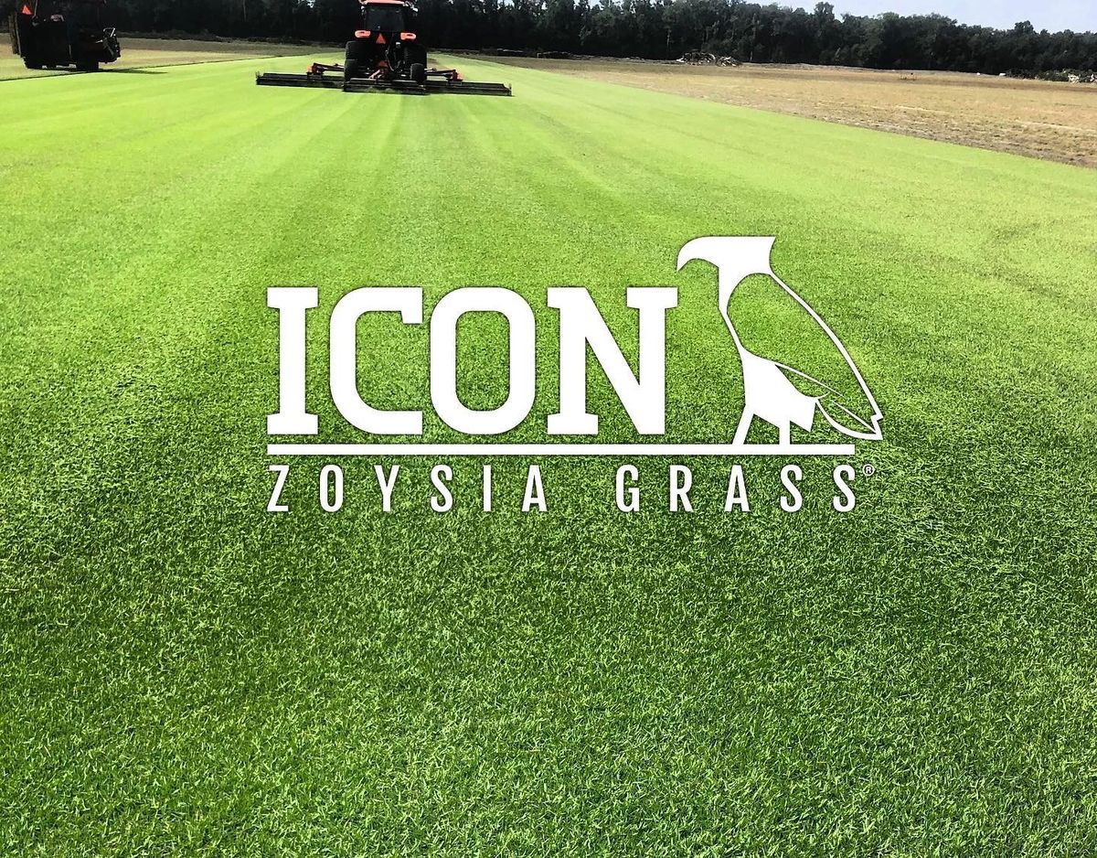 Icon Zoysia Truckload 18 Pallets 400 Ft²