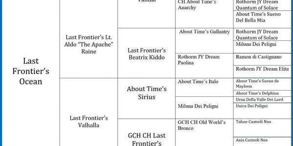 Alaska Cane Corso - Last Frontier Cane Corso