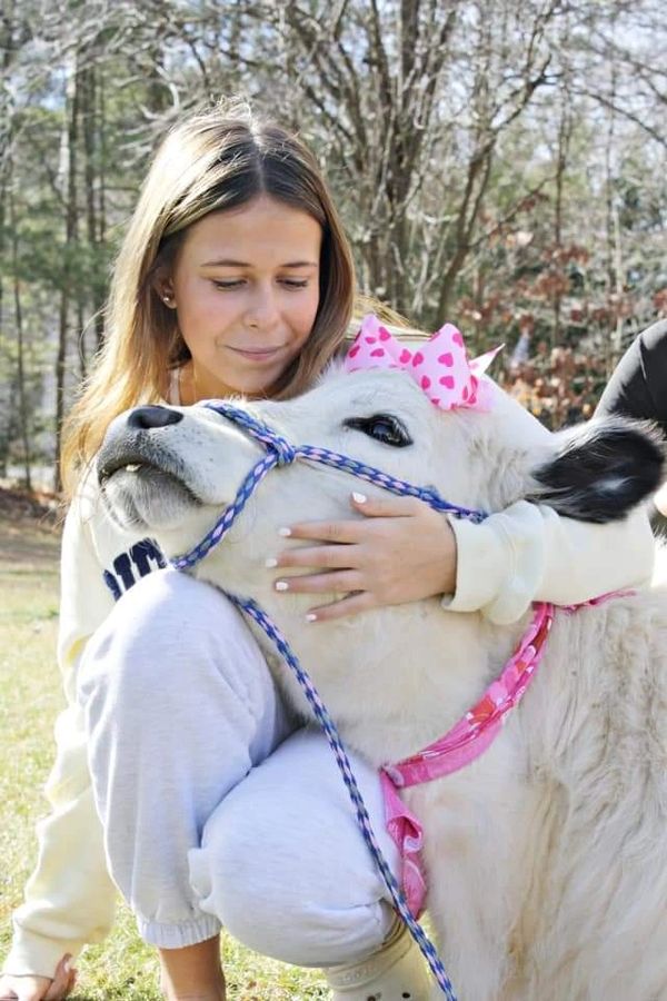 Hannimal Farm LLC - Animal Grams