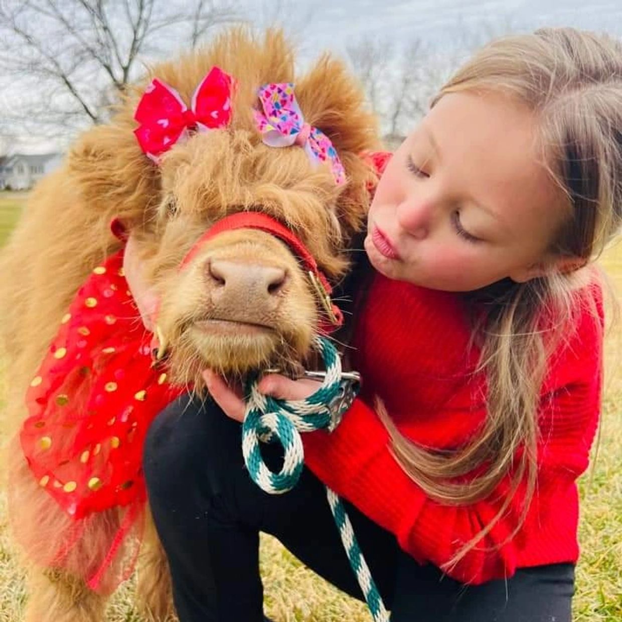 Hannimal Farm LLC - Animal Grams