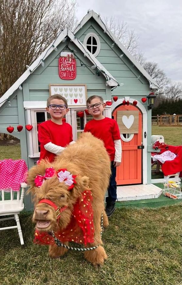 Hannimal Farm LLC - Animal Grams