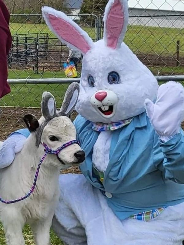 Hannimal Farm LLC - Animal Grams