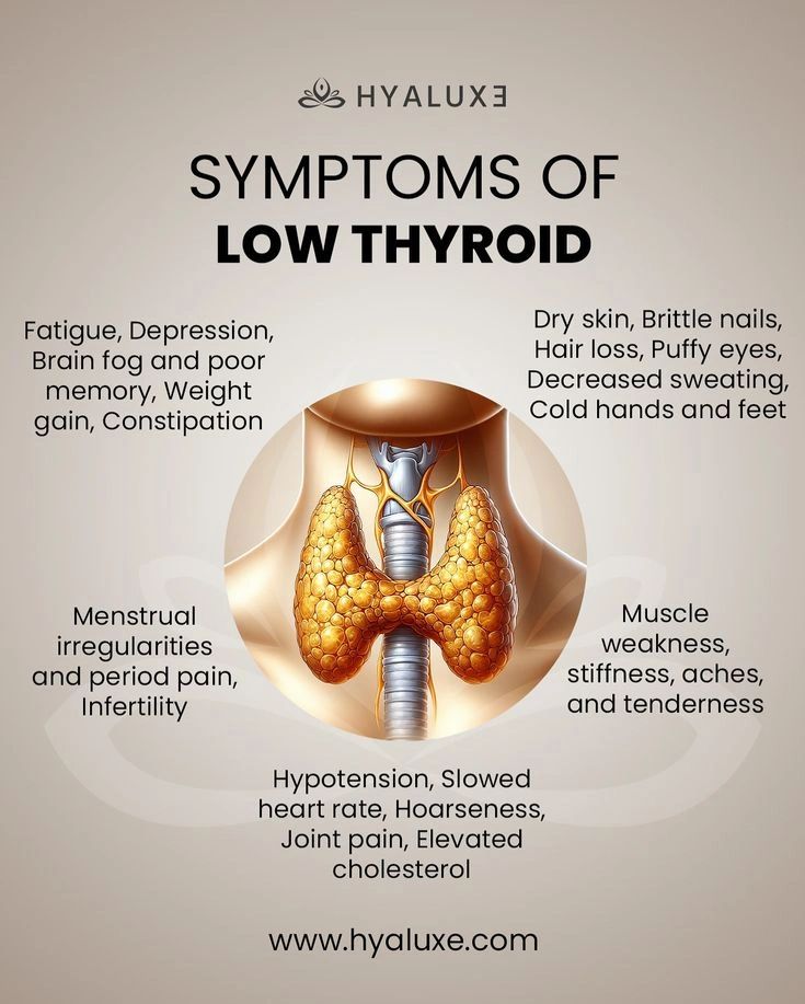Thyroid Health Explained: Hypothyroidism vs. Hyperthyroidism