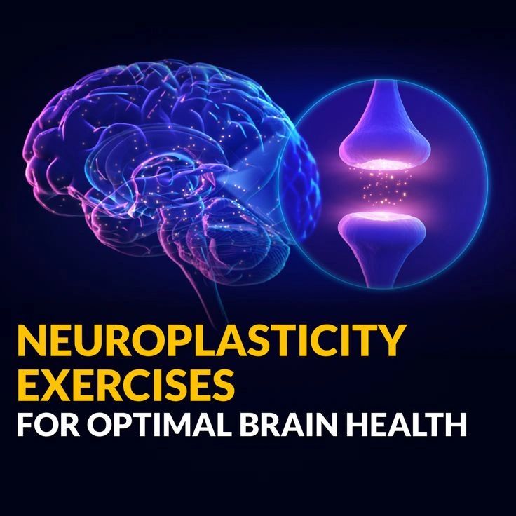 Neuroplasticity Exercises: How to Rewire Your Brain