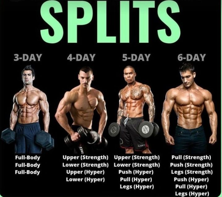 A Comprehensive Guide to Workout Splits for Optimal Muscle Growth