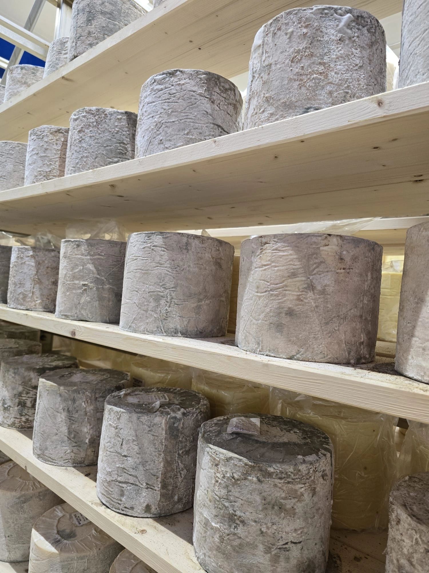 CHEESE | Wakebridge Manor Farm Creamery