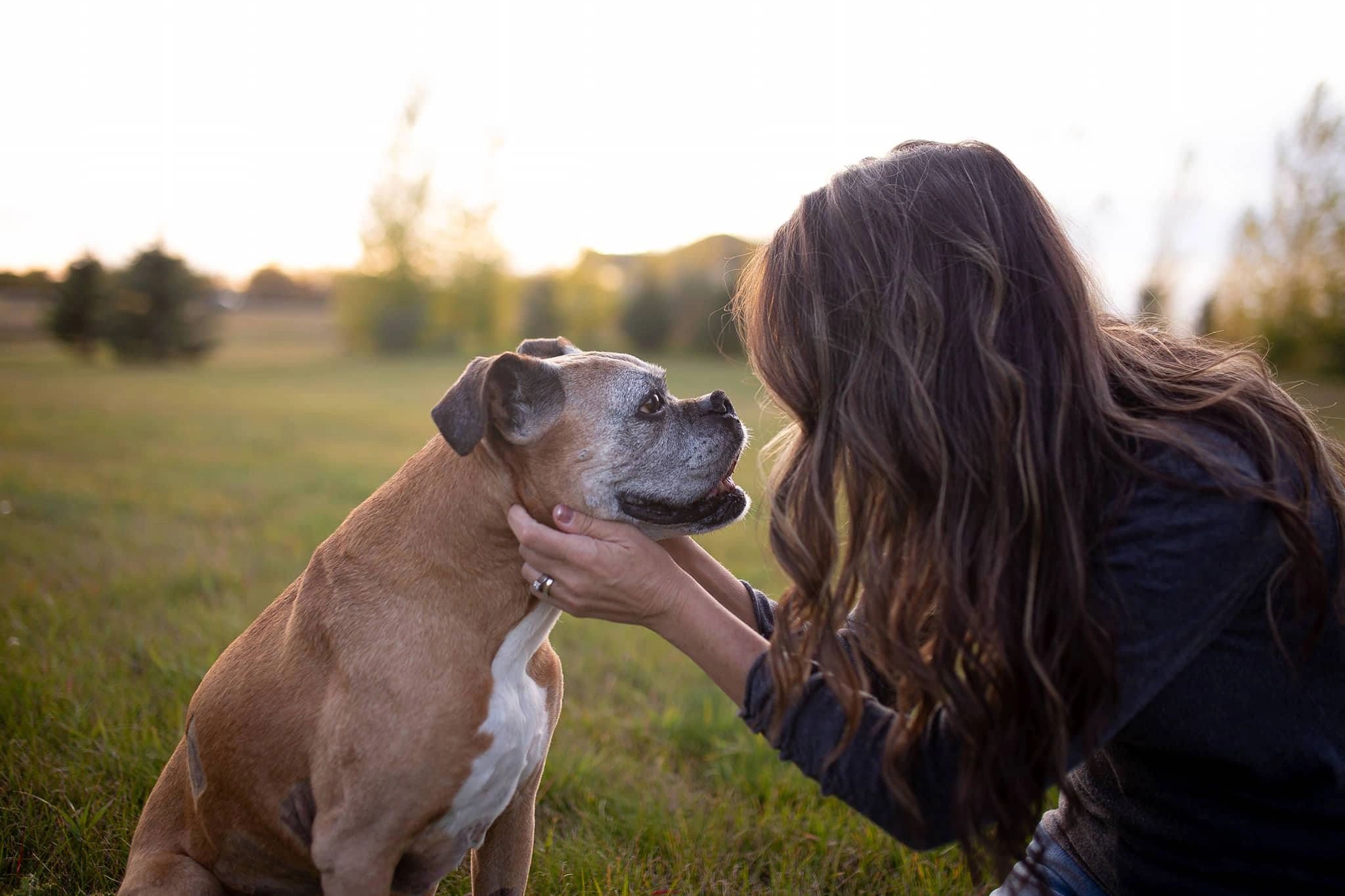 Colleen Anne Dell - Leading Animal Assisted Intervention Research in Canada