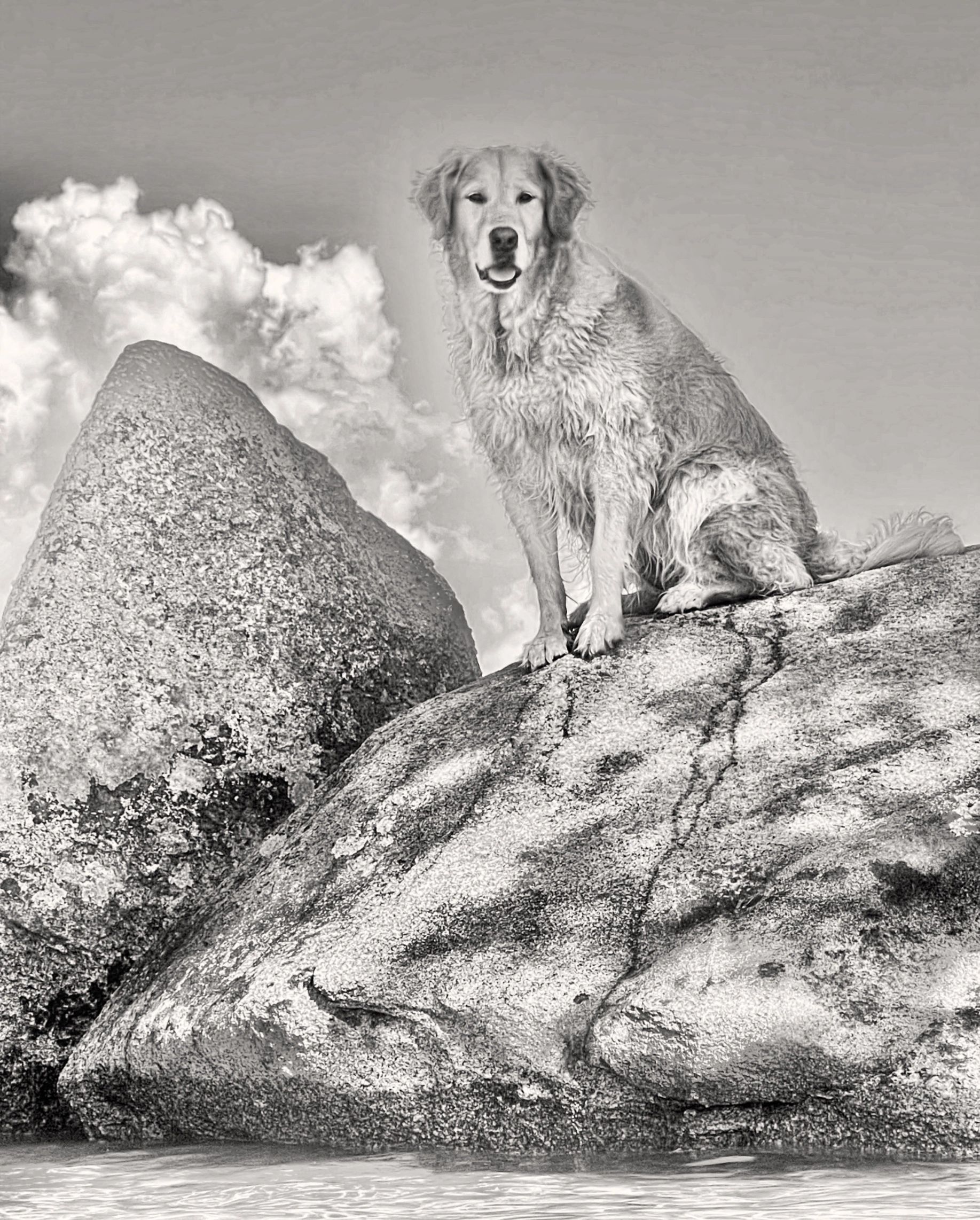 Portrait Work | Civilbuildersphotography