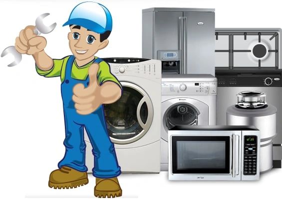 Expert Oven Repair Services
