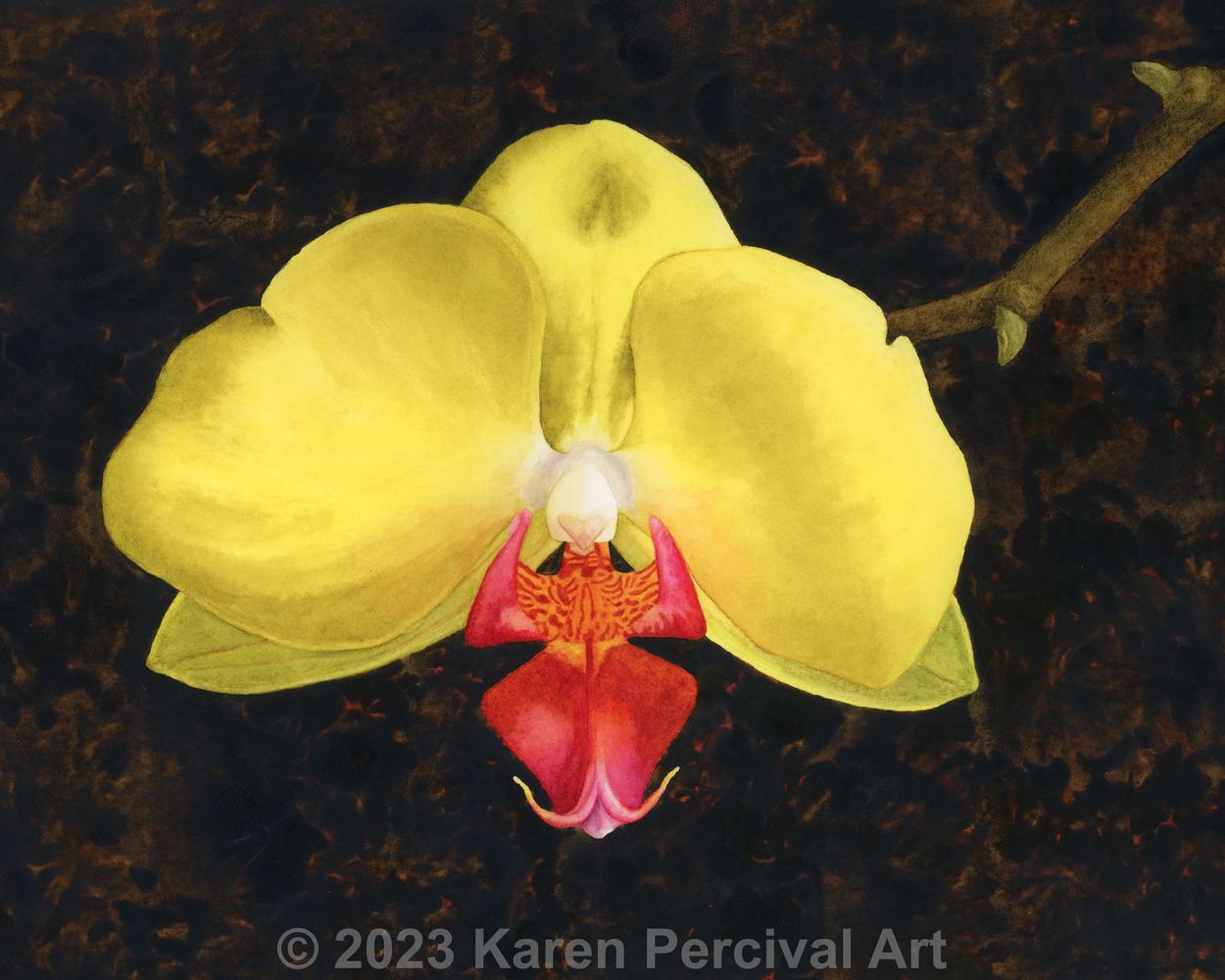 Karen Percival Art - Watercolor Art, Painting, Original, Watercolor