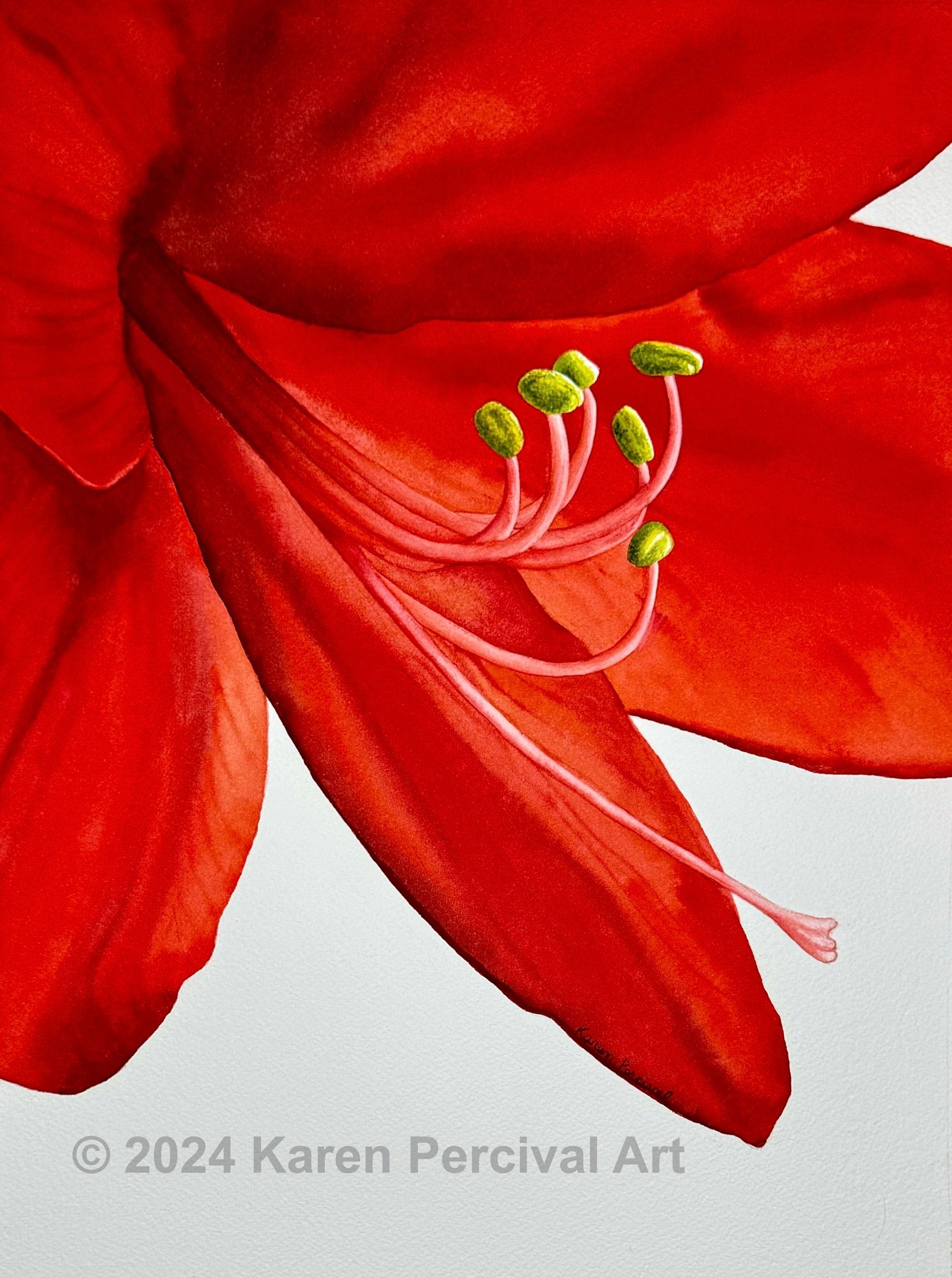 Karen Percival Art - Watercolor Art, Painting, Original, Watercolor