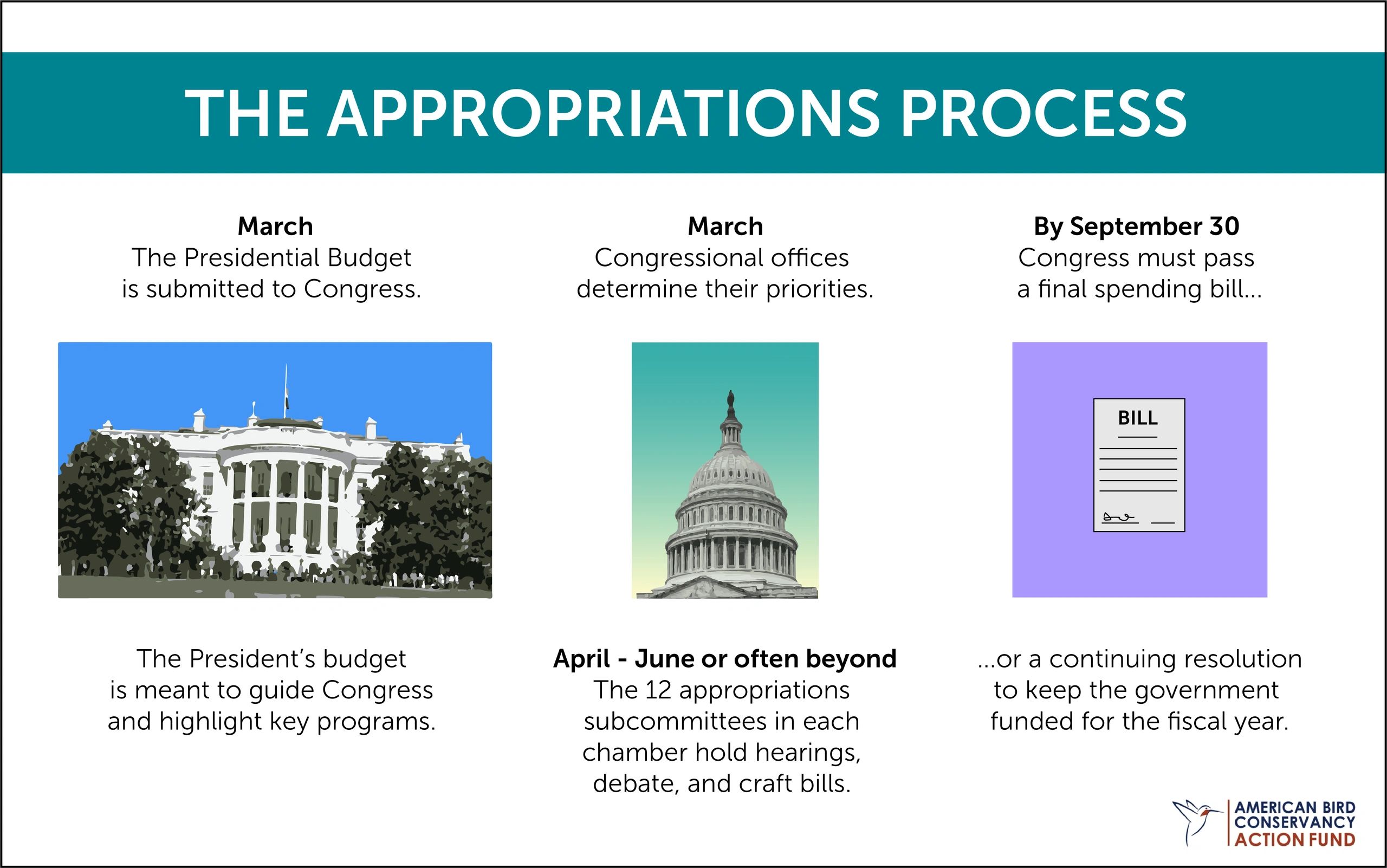 The Appropriations Process Explained