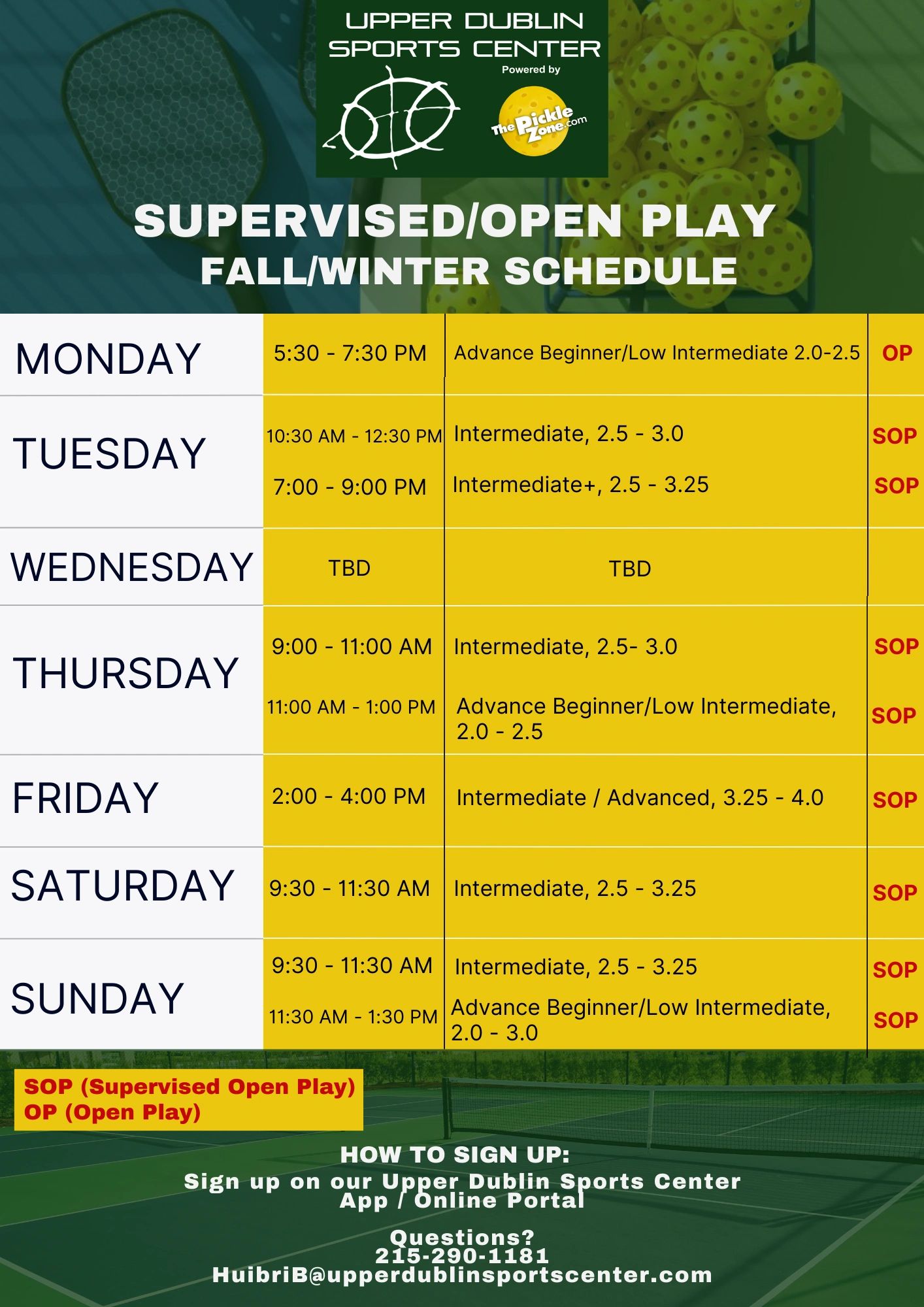 Supervised open play