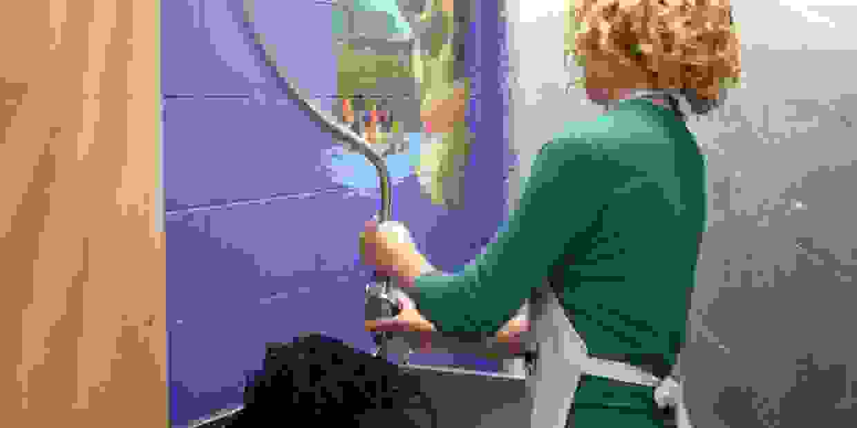 Four Paws Inn - Dog Boarding, Dog Daycare, Dog Services