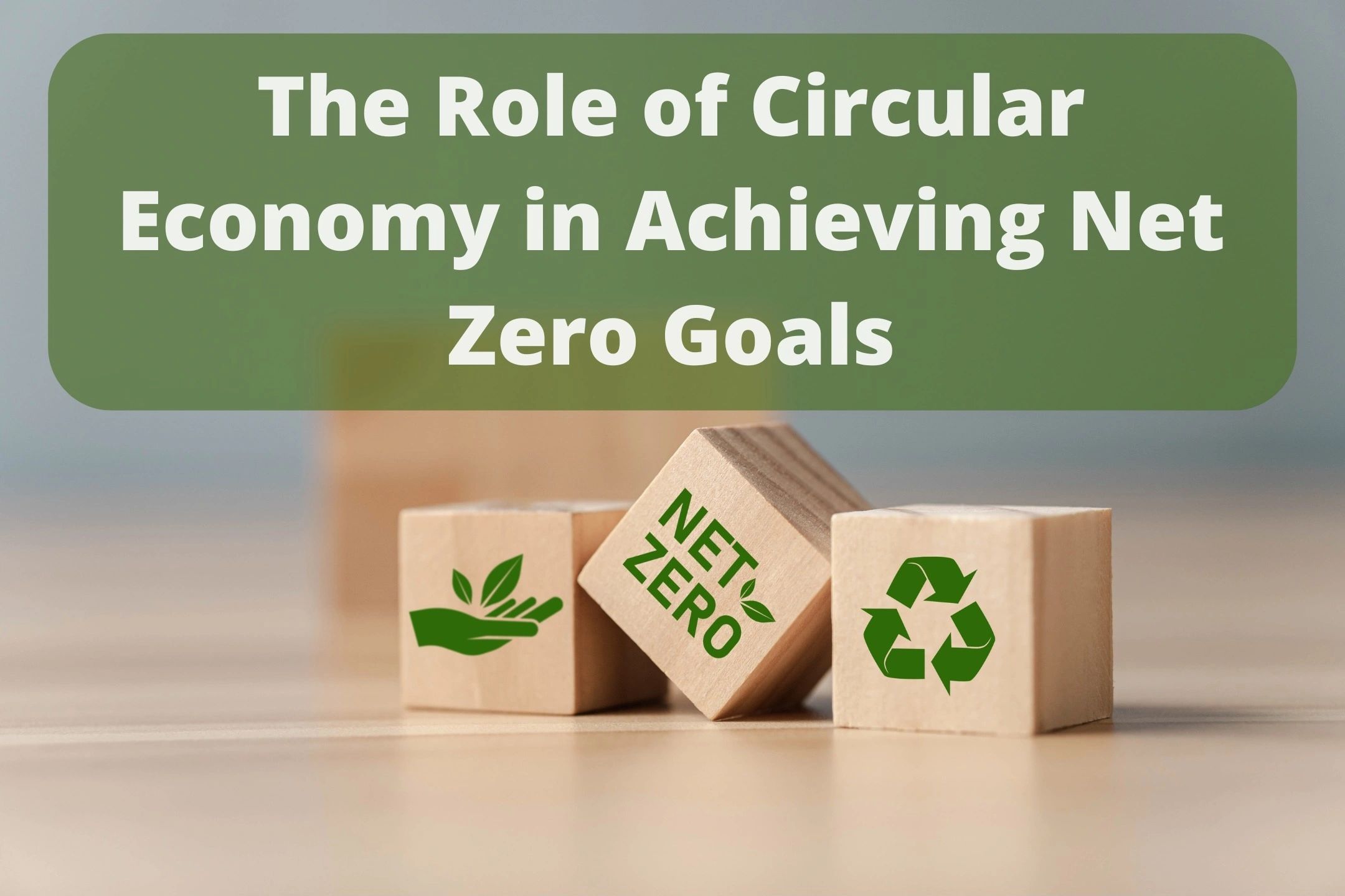 The Role of Circular Economy in Achieving Net Zero Goals