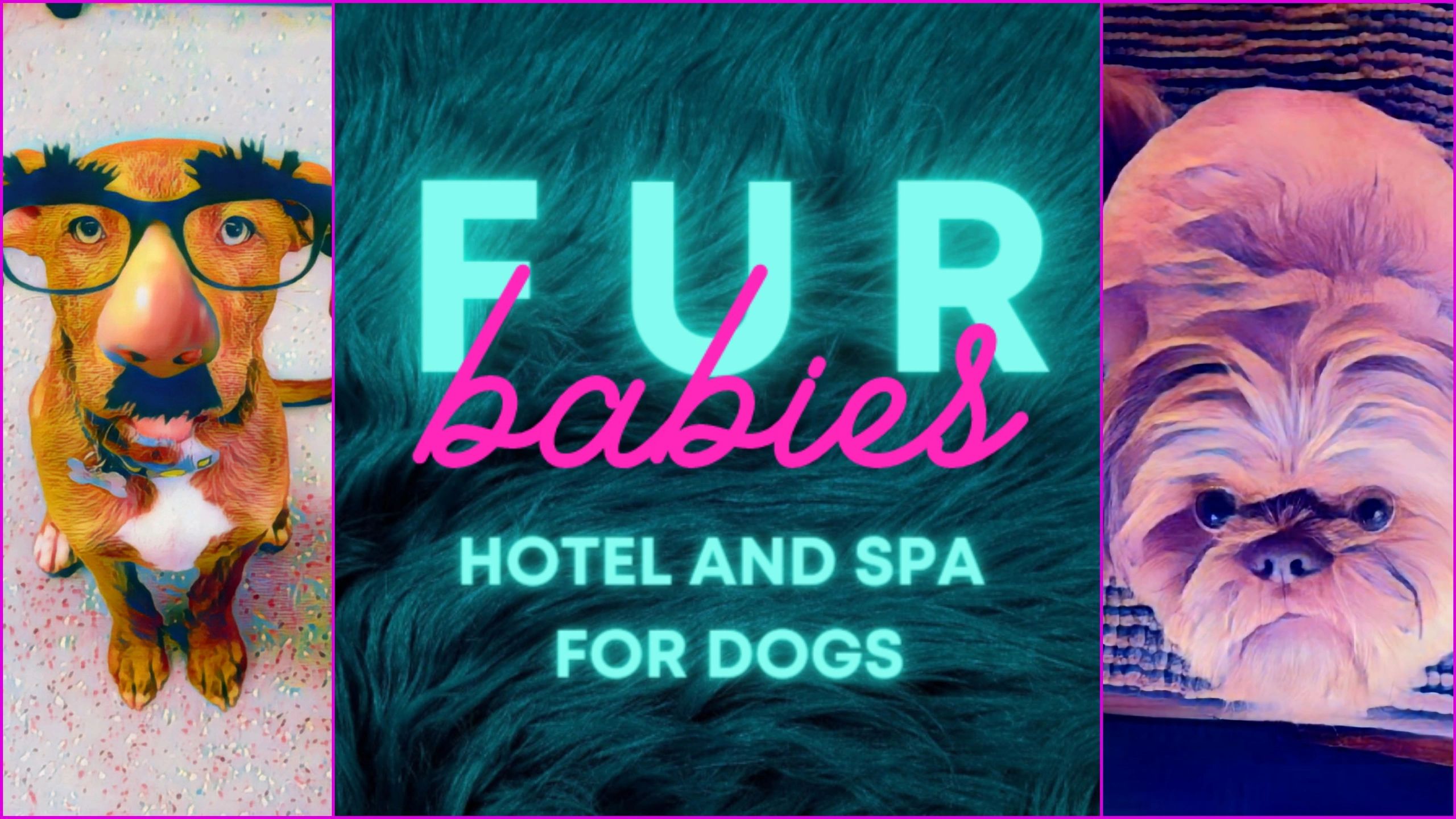 FURbabies Hotel and Spa - Dog Grooming and Boarding, Doggy Daycare, Specialized Dog Skin and ...