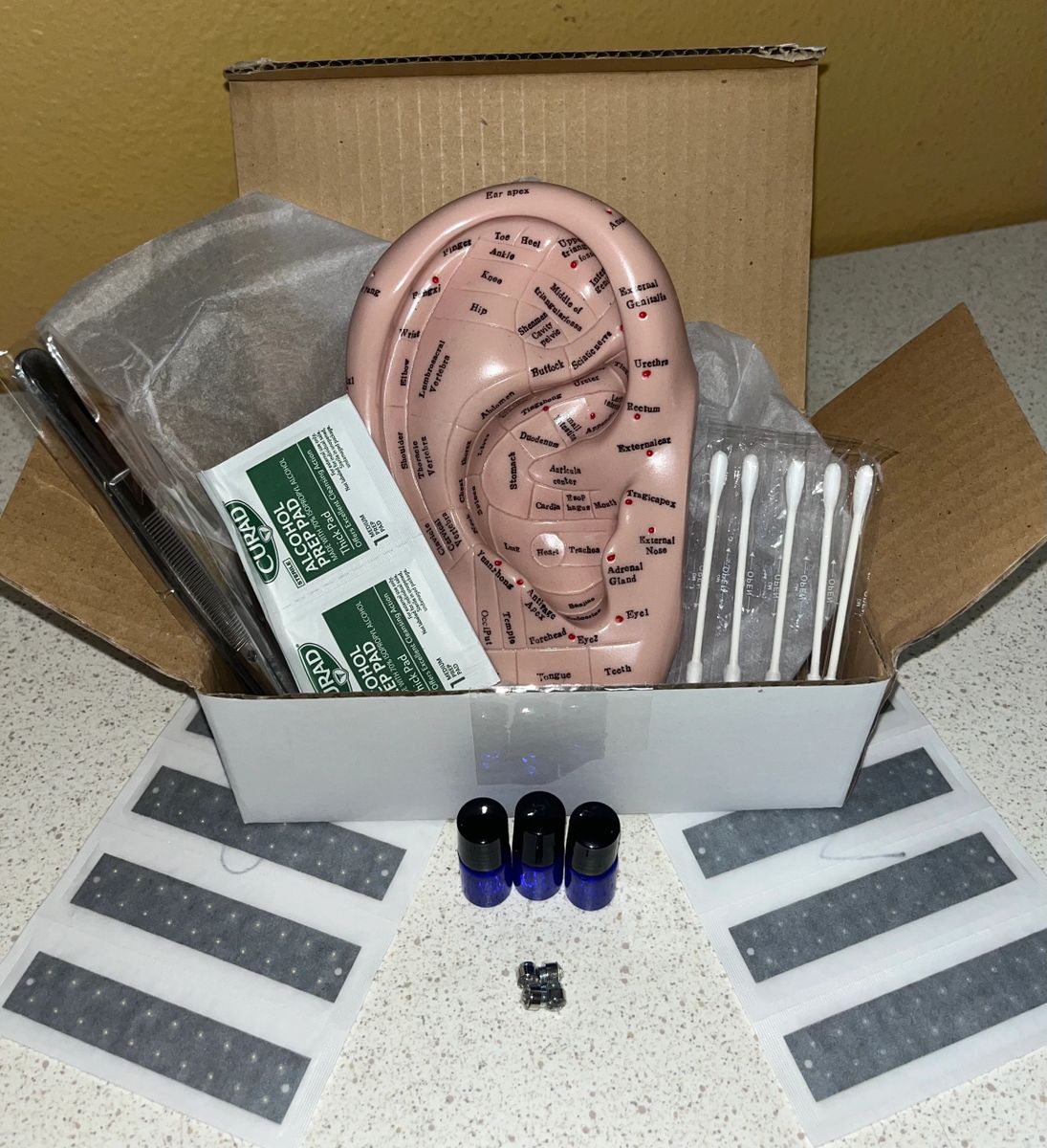 AR121/AR122-OL Kit-Auriculotherapy (Required)