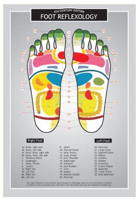 Chart - Foot Reflexology