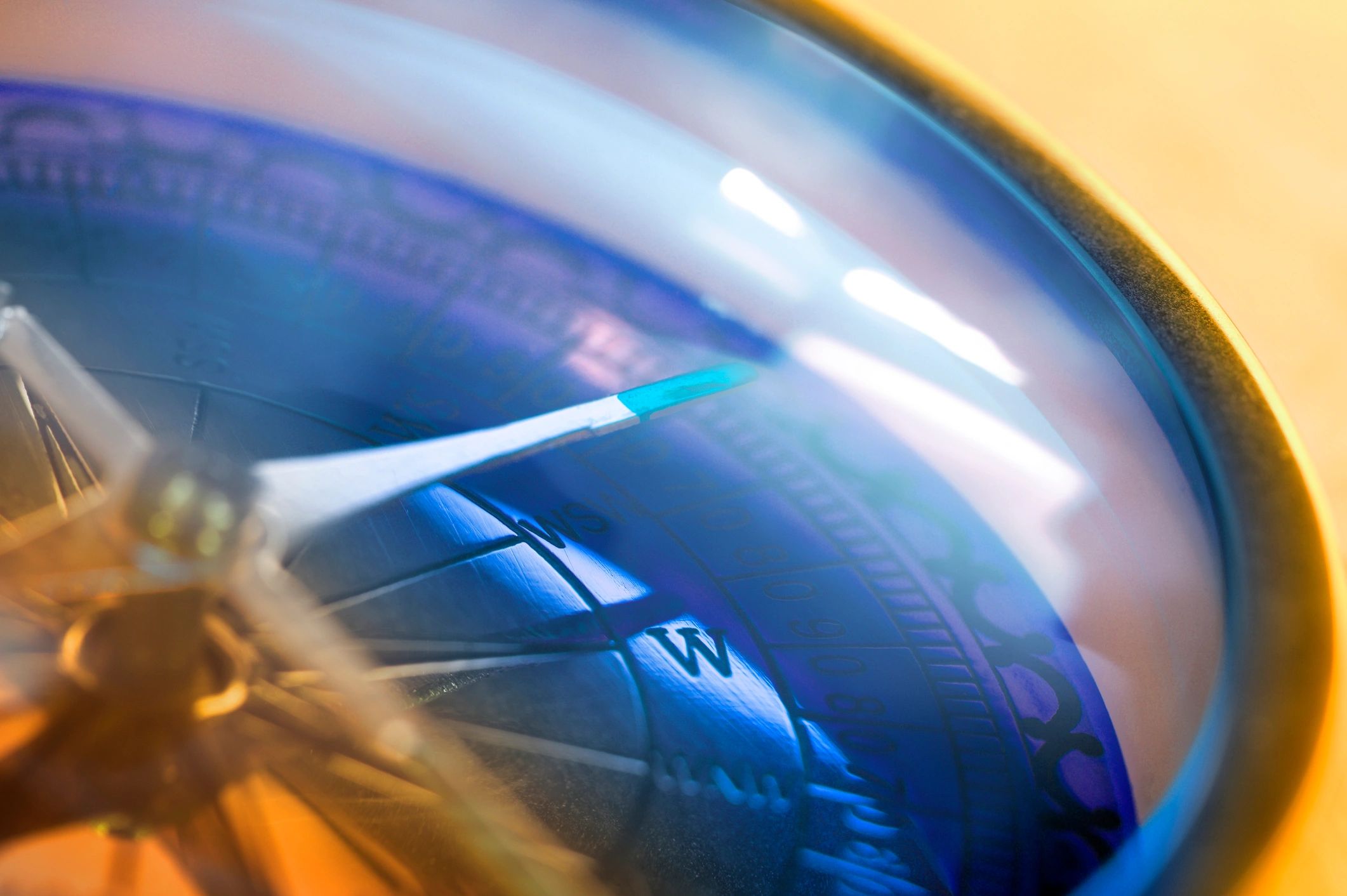 Points True North Consulting