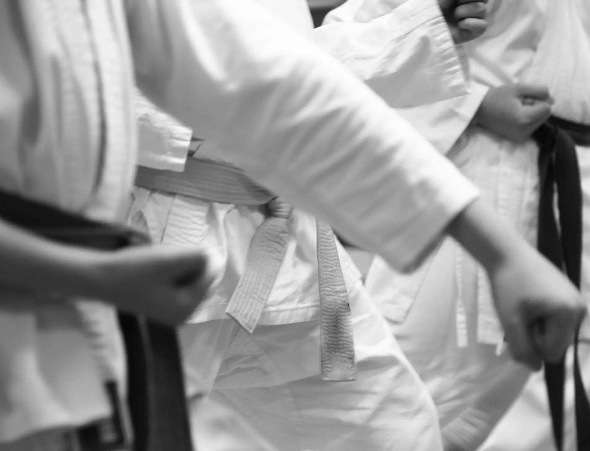 Bushido Karate Budokan