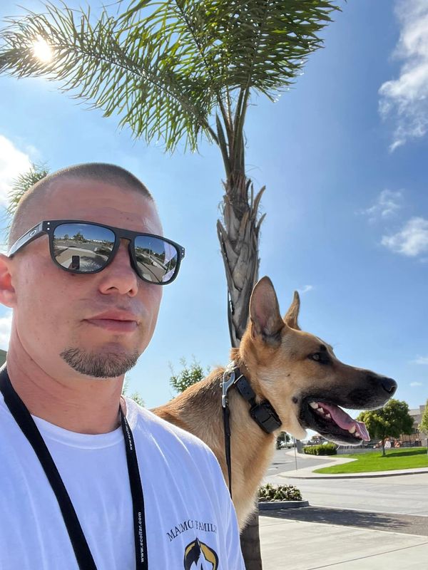 St. Louis Dog Training - Home