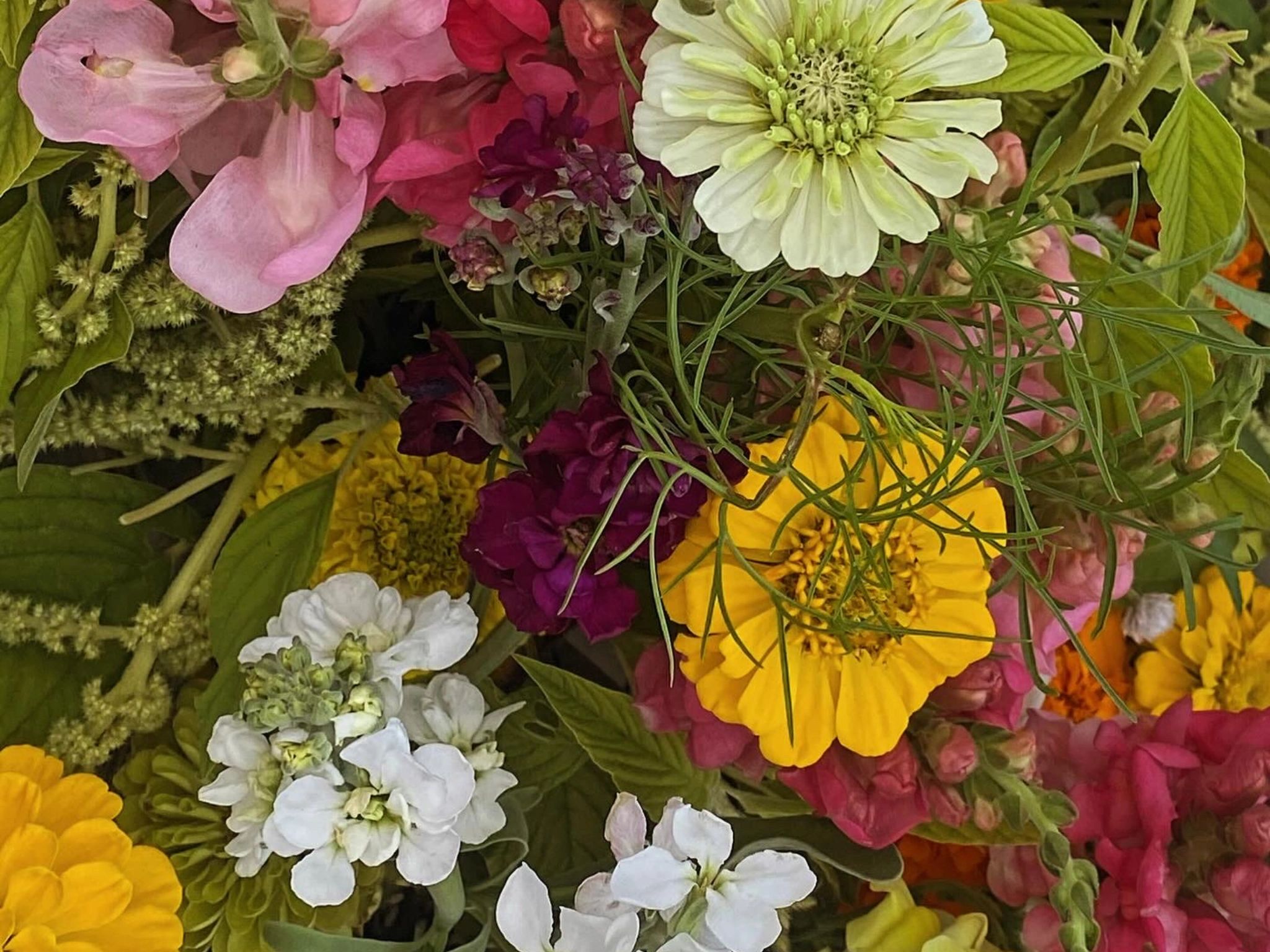 The Little Flower Farm on Wadmalaw