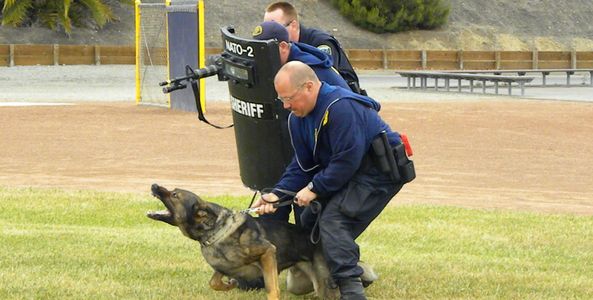 K9 Activity Tracking System Law Enforcement Software